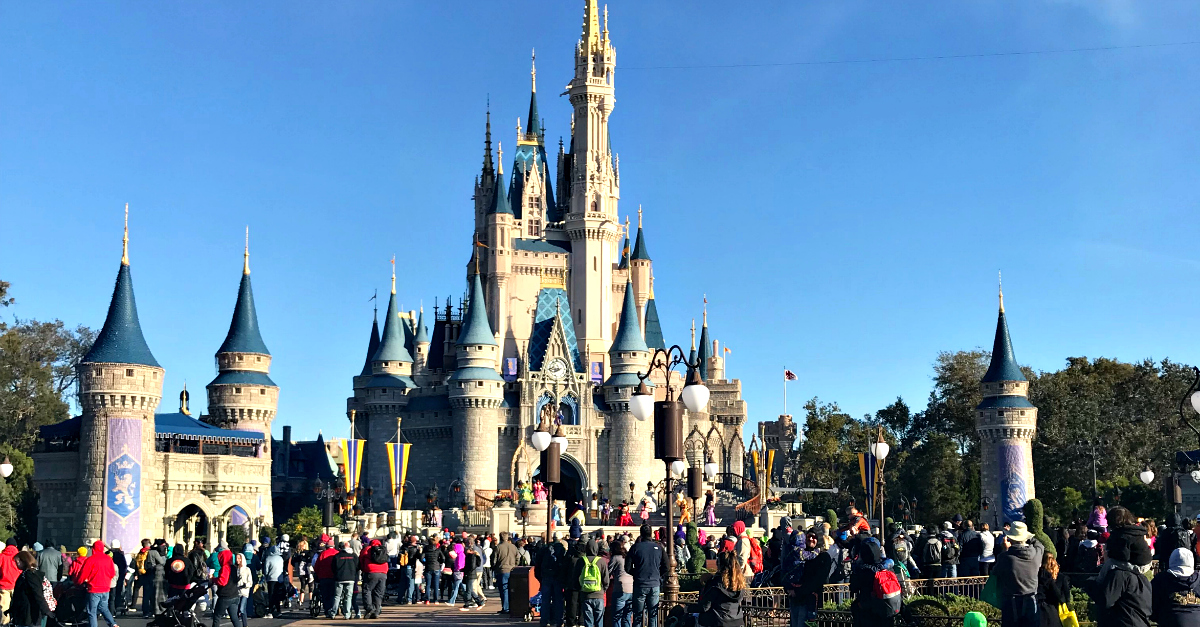 4 Reasons Why You Should Visit Disney World in January - Magic in the ...